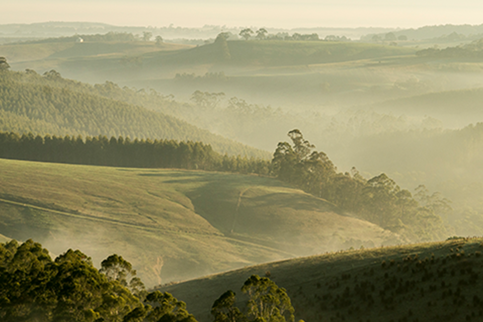 Distinctive areas and landscapes