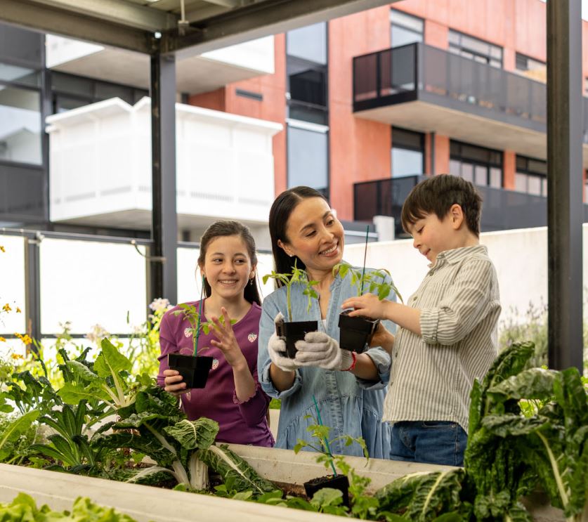 Developing a new plan for Victoria